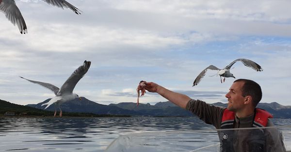 Ukens utvikler: Sigve Fast