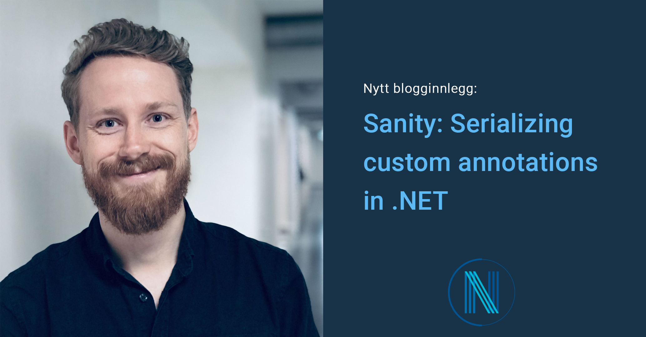 Sanity Serializing Custom Annotations In Net